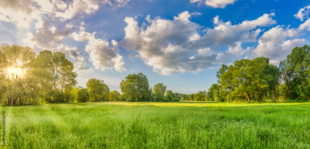 Initiatives Toward Carbon Neutrality：Nippon Steel SG Wire Co., Ltd.